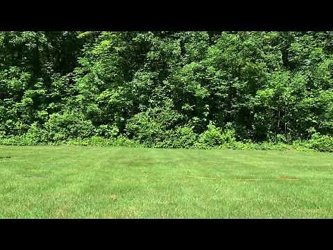 Echo Micro Practice Rod w/ Double Haul Accessory