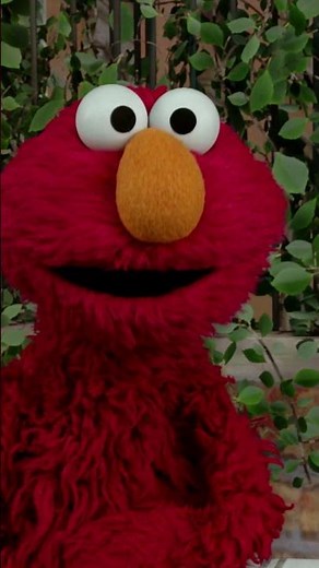 Elmo Checks In with Rocco #sesamestreet