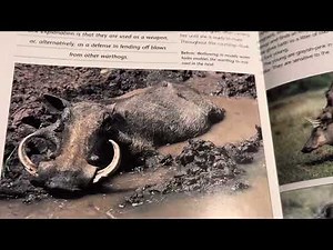 Wildlife fact file part 1