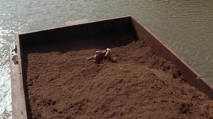 Witless.Protection.2008