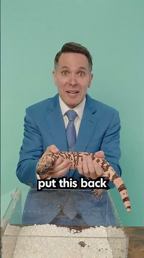 These Animals Are Illegal