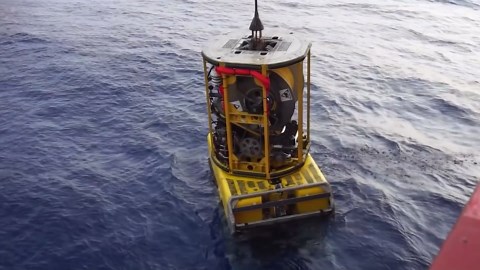 What Lurks 11,034 M Below the Sea? Discover the Ocean’s Darkest Secrets