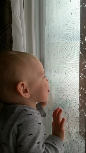 24 reactions · 6 comments | The cutest window licker ever♥️ Weston 1yr @藍 Nicole Gorremans | Lora Lee | Facebook