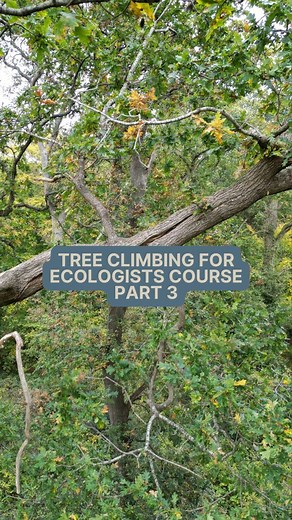 3.2K views · 48 reactions | Last week saw the third and final...