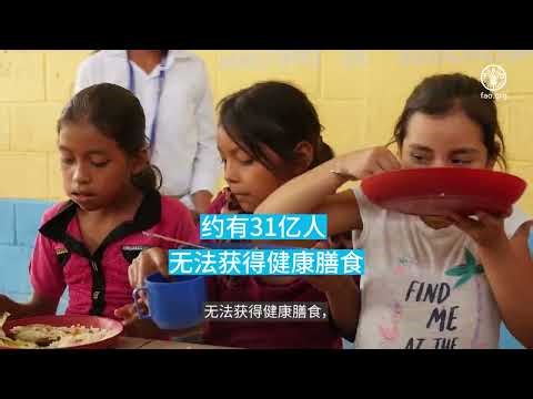 粮农组织粮食损失和浪费问题视频说明