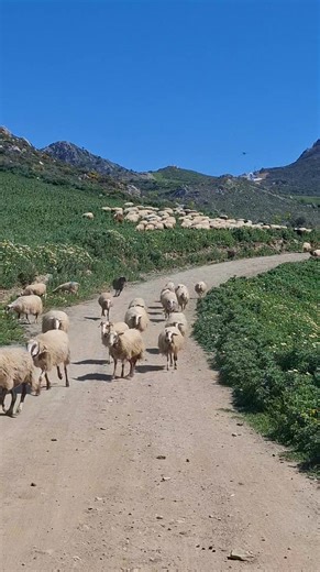 Kalimera Kriti!🇬🇷 Hello Spring!❤️ | Crete My Second Home