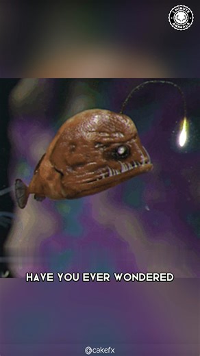 Anglerfish 🐠 The NIGHTMARE With a Light! This creepy fish uses a glowing lure on its head to attract prey in the dark ocean. When something gets close, it snaps its jaws shut in an instant. You won’t believe how terrifying this glowing predator looks up close! #wildlife #nature #animalfacts #animalvideos | 1 Minute Animals