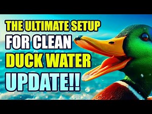 How to DIY Keep Your Duck Pool Clean and Easy to Maintain UPDATE | Plus Important Duck Tips!