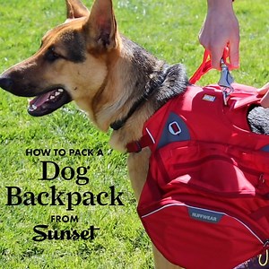25K views · 75 reactions | Your pup’s pack is as important as your own when adventuring on a serious hike or backpacking trip. Instructions: https://bit.ly/2rOOvQL | Sunset | Facebook