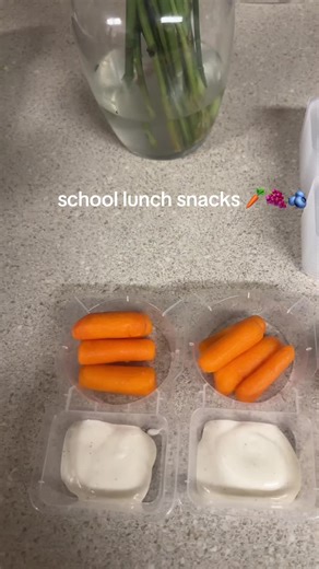 Snack Smarter: Ditch Plastic Bags for Reusable Solutions