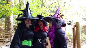 Bring your little ones along this half-term break for some spooktacular activities at the Adventure Playground and Engine Yard at Belvoir Castle 🧙‍♀️🦇 🏰 Playground Only tickets: Adult £3 | Child £4 | Under 4s Free | Family £12 🍂 Children can make their own Halloween Lantern’s at The Engine Yard with ‘The Belvoir Witches’ who will be running their craft workshops every day until 31st October, 11am, 1pm & 3pm. 🎃 OR Head over to the The Fuel Tank to pick up a free ‘Pesky Pumpkin’ Trick or Trea