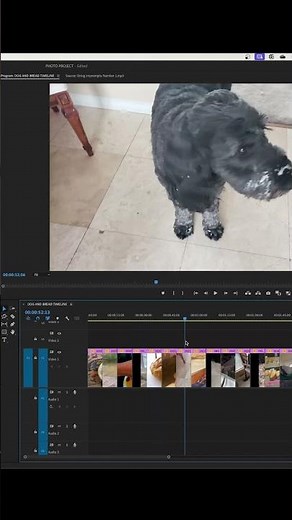 Premiere Pro 2024: Preferences: Default Durations #filmproduction #movie #videoediting #editing