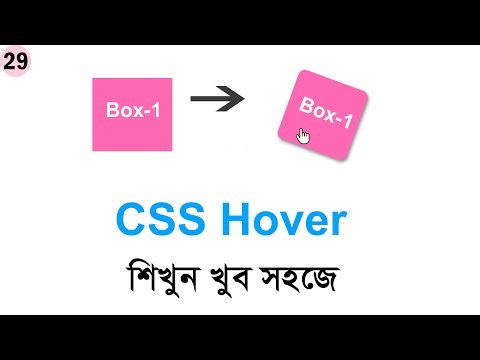 #29 CSS Hover Effects | Creating Interactive Elements | CSS Bangla Tutorial Series