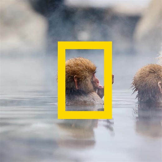 Let expert guides change the way your family sees the world on a Family Journey to the world's most amazing destinations. | National Geographic Expeditions