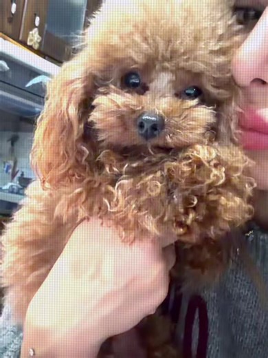 Video di Francesca (@g.francesca2020) con suono originale - LA_REGINA_DI_NAPOLI👑official