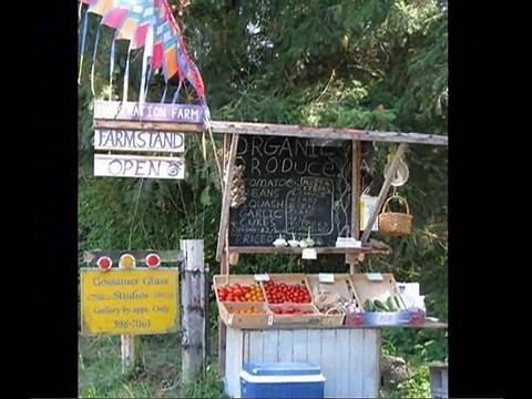 3 Honor System Farm Stands That are Working Really Well! Plus a Clever Tennis Ball Trick!