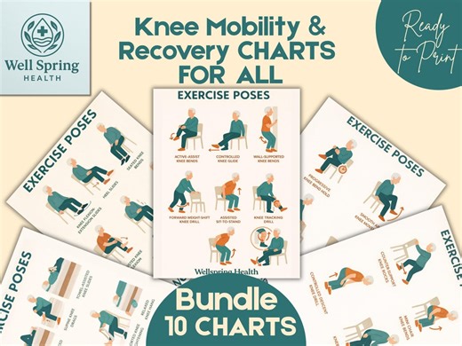 Knee Mobility & Recovery Exercise Charts | ACL Meniscus Surgery Rehab | Printable Gift for After Knee Surgery Physical Therapy Exercises PDF - Etsy