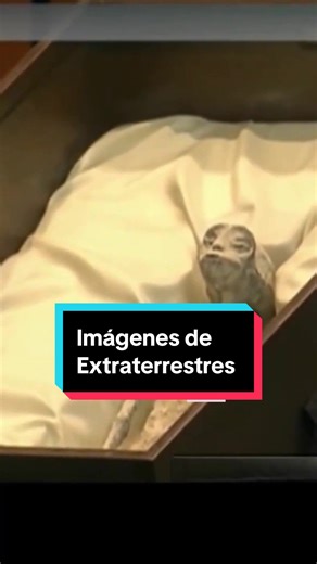Foto al Final ! El gobierno de México presentó cuerpos de alienígenas momificados reales en una conferencia de prensa sorpresa, considerándolos pruebas de la vida extraterrestre. ¿Quiénes eran? ¿De dónde vinieron? Descubre sus misteriosos implantes mecánicos y más a continuación. #vidaextraterrestre #descubrimiento #alienígenas