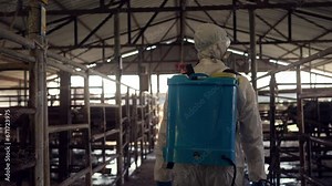 Animal husbandry wearing personal protective equipment or PPE with spraying disinfectant for protection pandemic of disease in cattle farm. Agriculture cattle farm industry.