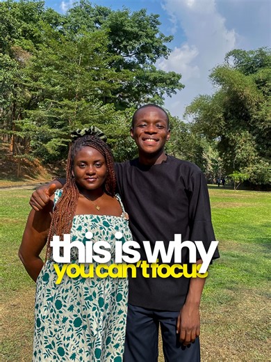 Resetting the Instagram Algorithm: A Step-by-Step Guide