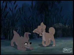 Lady and the Tramp I & II Music Video - Bella Notte