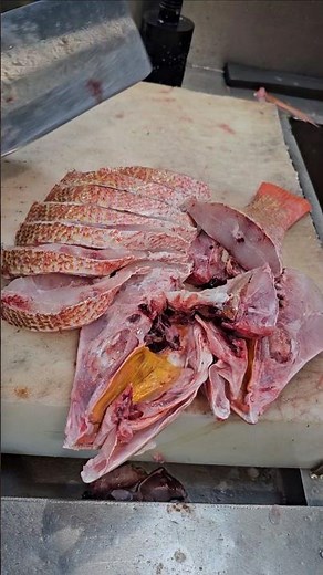 Queen Red Snapper Fish Cutting Skills#shorts