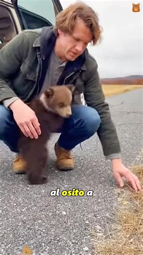 I saved a little bear, but I didn't expect that...#animal #bear #funny #love #foryou