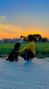 19K views · 54 reactions | Jackey my boy 﫶刺 . . . . . #dogcare #dogsofinstagram #dogs #dog #petcare #doglover #doglovers #doglife #pets #doghealth #doggrooming #doglove #pet #puppy #dogstagram #dogoftheday #dogwalking #dogcaretips #catcare #petlovers #dogsofinsta #dogtraining #dogwalker #instadog #dogsitting #petsofinstagram #puppies #doggydaycare #healthydog #doggroomer | Animals birds welfare | Facebook