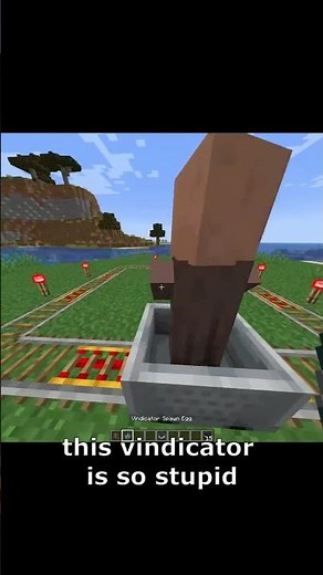 Minecraft Vindicator Villager Moment