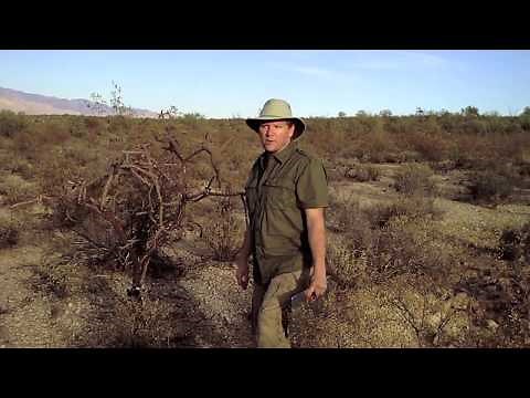 Sampling Vegetation Cover by Point Intercept