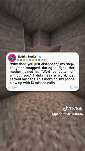 "Why don't you just disappear," my stepdaughter snapped during a fight...