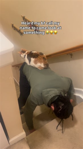 @girlychaoshub on Instagram: "😭😭😂😂"