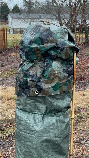 Easy 3-layer fig tree wrap for winter frost protection #figs #gardening #plants #diy #homestead