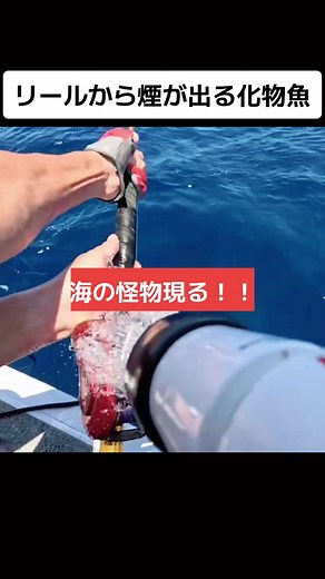 こんな怪物が海にはいるんだよ！！ #マグロ#釣り#三重#ジギング #みんなボウズ続きで辛くない？#俺もだよ！！😆#つりたみ#JACKALL#バンブルズセミロング トンボジギングスペシャル#320g#グローカラー#キハダ#メバチ#クロマグロ#ビンチョウ #ヒカキンボイス #YouTube#つりまさ