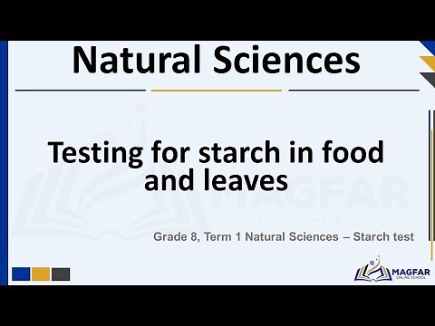 Grade 8 Term1 Natural Sciences: The Starch Test