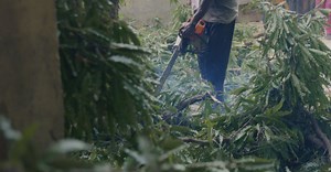 Video by Usman AbdulrasheedGambo on Pexels