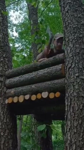 the process of making a tree house using logs that have been cut to the desired size