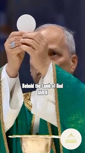Pope Leo Catholic Mass #eucharist #popeleoxiv