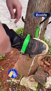 Tree Climbing Spikes Claws Multi-Function Tool Pole Climbing Survival Gear Grips Cleats Hiking Spikes Shoes Labor Saving: https://s.click.aliexpress.com/e/_DEIOjoD | Workers TV