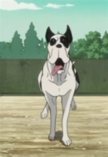 Счастливая концовка #jjba #jojosbizarreadventure #phantomblood #dio | Jojo Bizarre Adventure