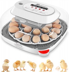 Adnoom 24 Egg Incubator for hatching chicks, Incubator with Temperature Control Humidity Display, Automatic Egg Turning,4 Modes, Digital Egg Incubator w/Egg Candler for Hatching Chicken Duck Quail
