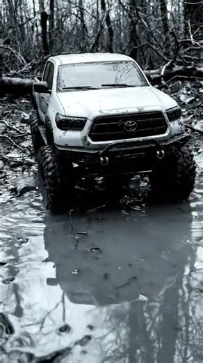 RC Cars vs. MUD! 🤯 EPIC Mudding Mayhem! 💦 Who Will Survive?!