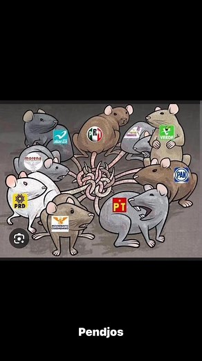 67K views · 2.3K reactions | Fernando Colunga on Reels | Facebook