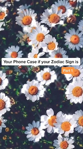 🧡Your Phone Case if your Zodiac Sign is🧡 #fyp #foryou #foru #foryoupage #forupage #forupge #foryoupge #_foryoupage #Fyp #fup #Fup #orange🧡 #zodiac
