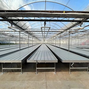 [Hot Item] Rolling Bench Grow Tables Fixed and Mobile Growing Rack