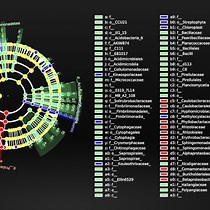 Assisted Selection of Biomarkers by Linear Discriminant Analysis Effect Size LEfSe in Microbiome Data (Scientific Article Protocol) | JoVE