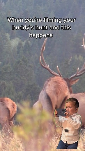 😂😂 #elkhunt #elkhunting #westernhunter #elkrut | Crossroads with the Burtons