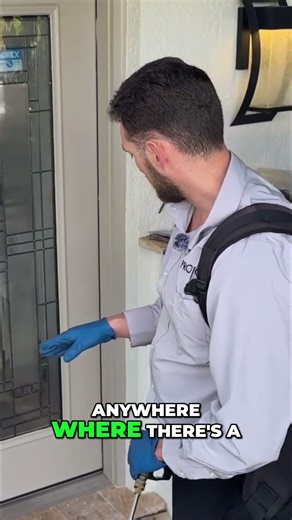 Most Pest Problems Start Right Here | Seal Entry Points