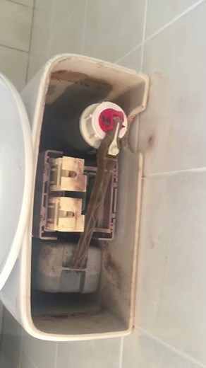 Flushing Cistern and showing leak on the inlet valve,which needed replacing