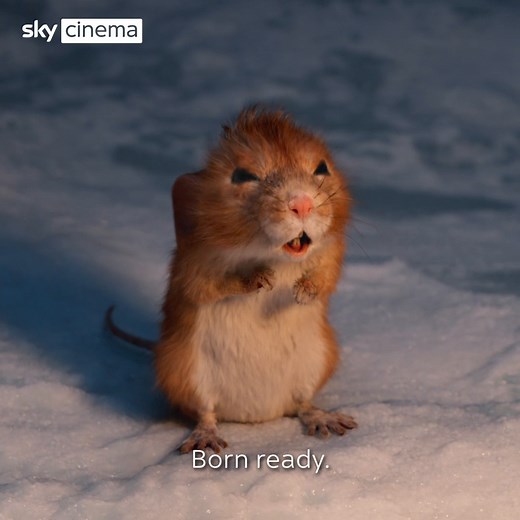 2.1M views · 73K reactions | 'Tis the season to release the A Boy Called Christmas trailer... ❄️ Starring Henry Lawfull, Maggie Smith, Sally Hawkins, Kristen Wiig, Zoe Colletti, Michiel Huisman, Toby Jones and Jim Broadbent. Coming to Sky Cinema 26 November. ✨ | Sky TV | Facebook